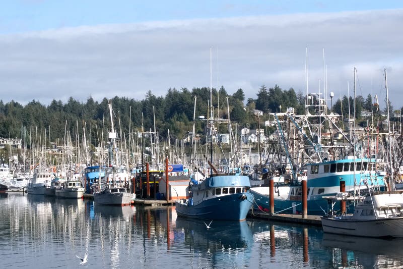 Many Boats Docked in the Bay Editorial Image - Image of ocean, boat ...