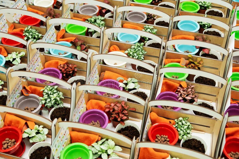 Many Kits for Growing Flowers - Baskets, Pots with Earth and Brochures ...