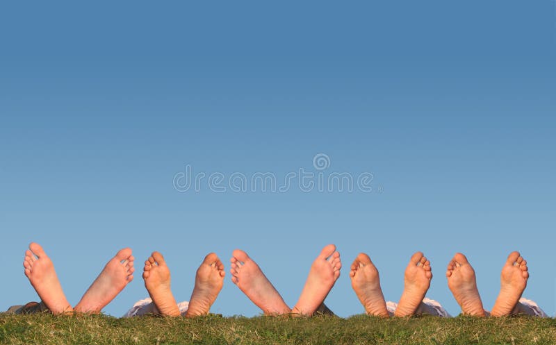 Many legs on grass collage stock image. Image of outdoors - 12263637