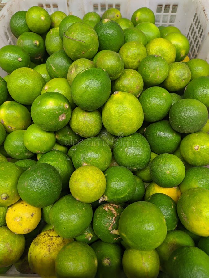 Many limes in white basket stock image. Image of gourd - 256514041