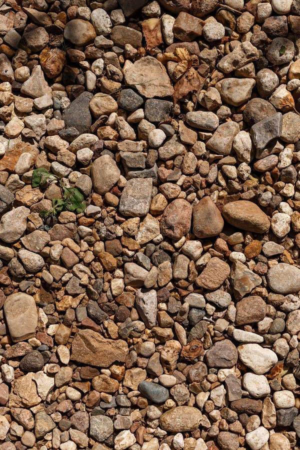 Stone Texture. Brown and White Stones. Stock Photo - Image of flor ...