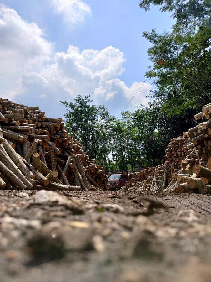Many Log of Tree with Red Truck Editorial Photography - Image of rock ...