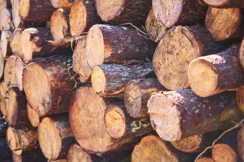 Many Logs Filling the Frame Stock Image - Image of dark, interior ...