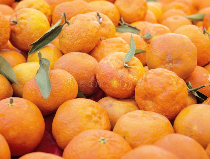 Lots of loose oranges stock image. Image of fresh, textures - 151678835
