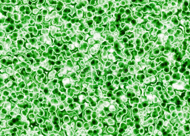 Many Macro Green Bio Cells Background. Scientific Pattern Stock Photo ...