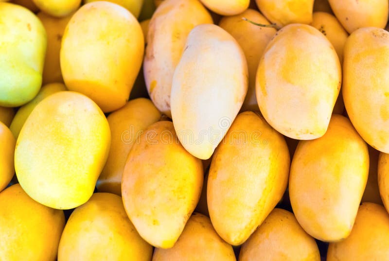 Many mango on fruit market stock image. Image of dessert - 196195425