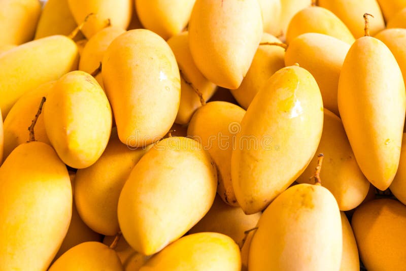 Many mango on fruit market stock image. Image of market - 344826395