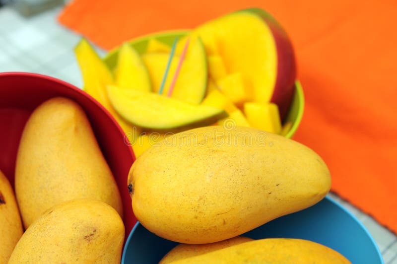 Many mangoes stock image. Image of isolated, breakfast - 34999219