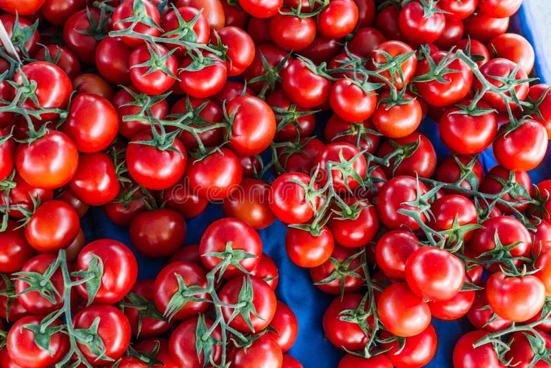 Medium Sized Tomatoes Stock Photos - Free & Royalty-Free Stock Photos ...