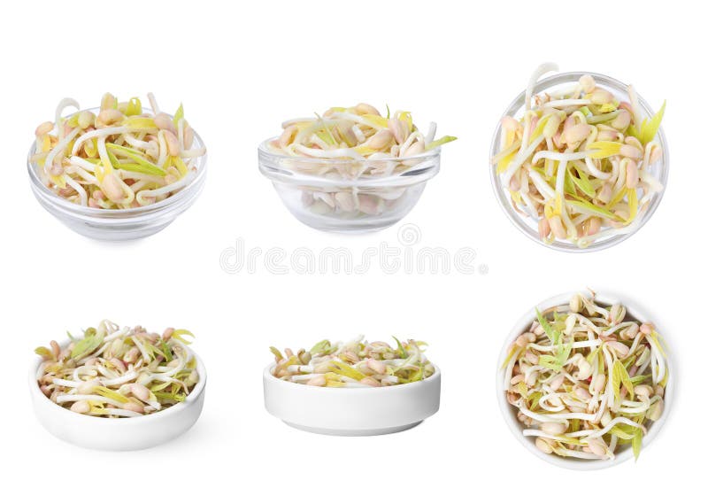 Many Mung Bean Sprouts on White Background Stock Photo - Image of green ...