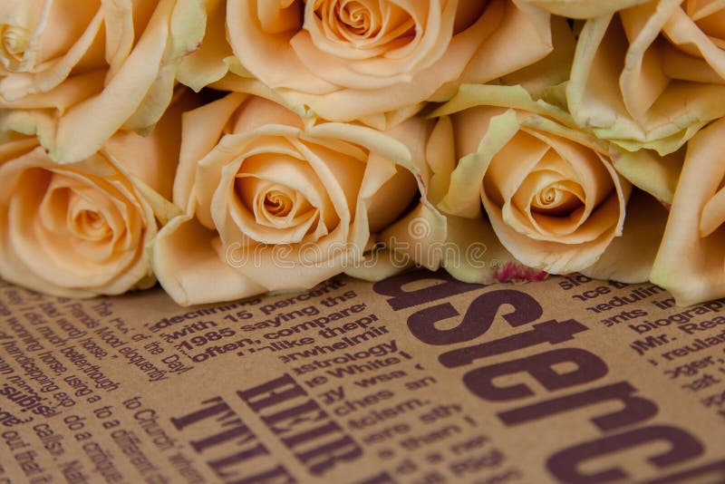 Many Natural Beige Roses Background on a Newspaper Stock Photo - Image ...