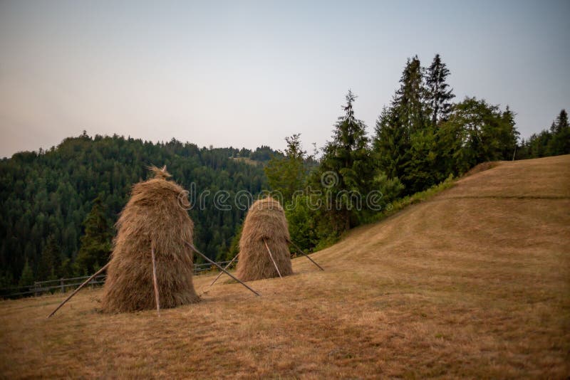 Old Fashioned Hay Stacks on the Brown Fields Under Sunset Sky Stock ...