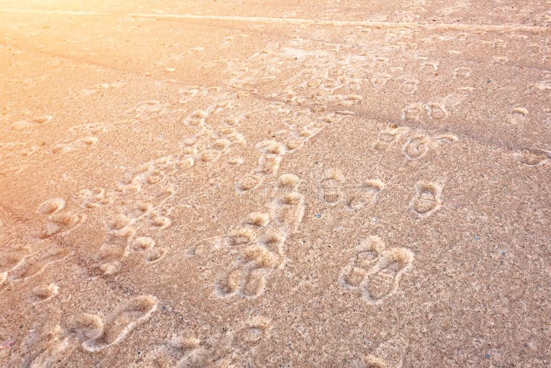 Many Old Footprints of People on Coarse Sand Stock Image - Image of ...