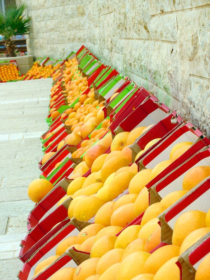 Many oranges stock photo. Image of arranging, colored - 5253726