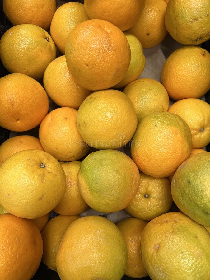 Fruit - oranges stock photo. Image of healthy, natural - 279143678