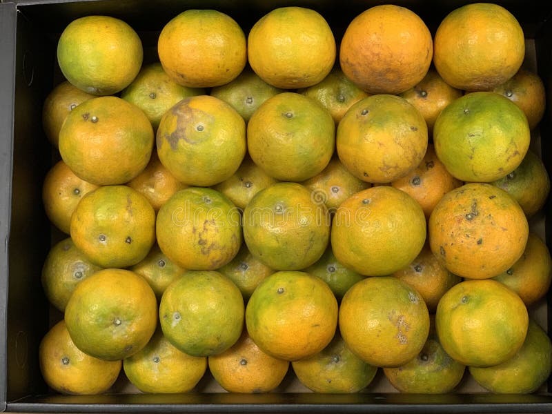 Many oranges stock image. Image of oranges, diet, fruit - 176522355