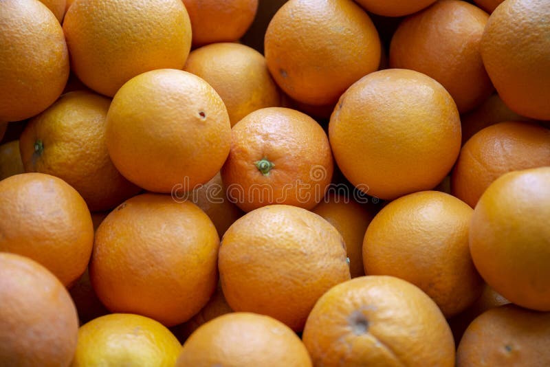 Many Oranges from Valencia, Spain Stock Photo - Image of farm, italy ...