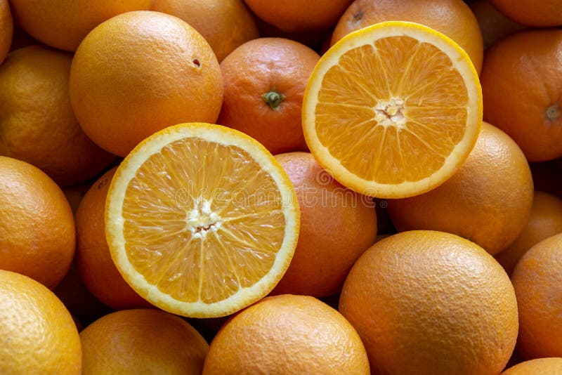Many Oranges from Valencia, Spain Stock Photo - Image of farm, italy ...