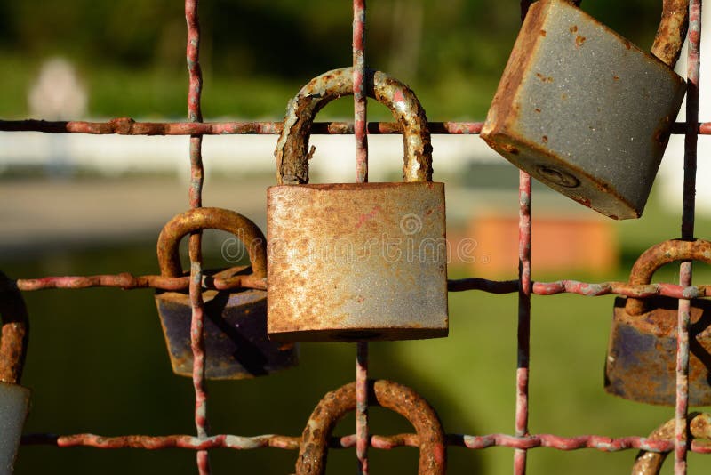 Padlocks stock image. Image of outdoors, large, hang - 113962315
