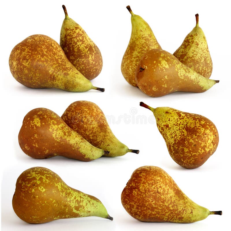 Many pears for design stock photo. Image of health, nature - 19986246