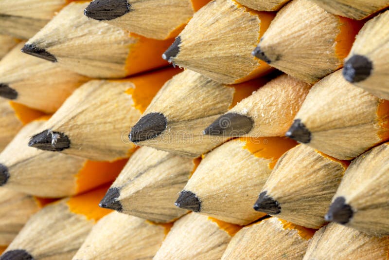 Many Pencils Close Up Sharpened and Ready for Use Stock Photo - Image ...