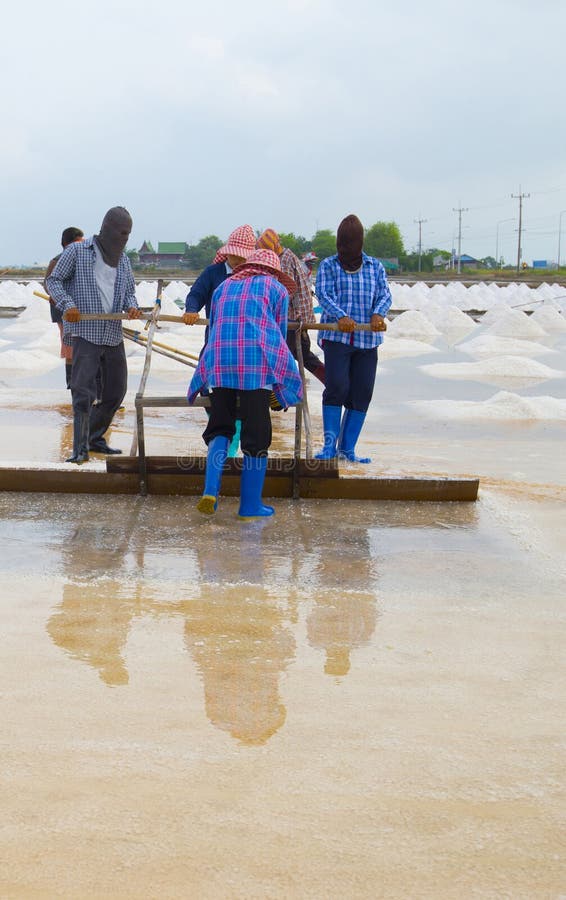 Many People Cooperate To Make Natural Salt in the Traditional Pr ...
