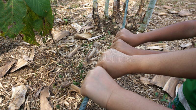 Many People Holding the Rope Represent Unity and Cooperation in ...