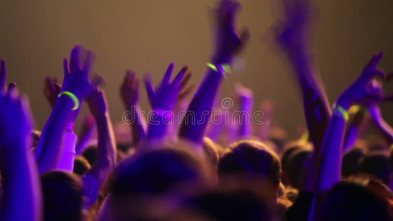 Many People at Rave Party, View from Behind, Hand Stock Footage - Video ...