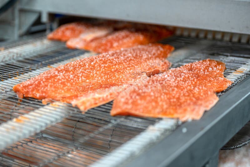 Many Pieces of Red Fish Fillet are Lying on the Conveyor. the Fish is ...