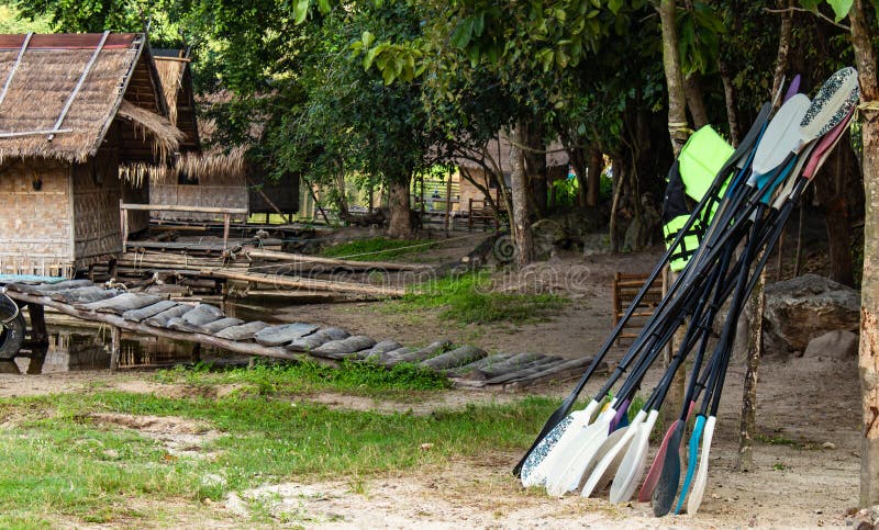 Many Place the Paddle Side of the Trees on the Ground. Stock Image ...