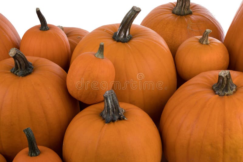 Many Pumpkins on a Farmers Market Stock Photo - Image of farmers ...