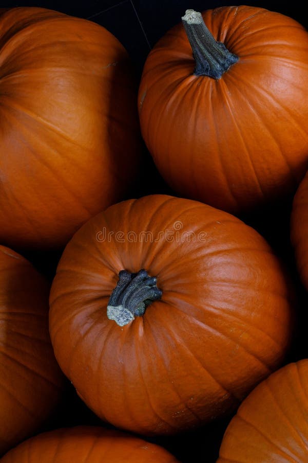 Many Pumpkins on a Farmers Market Stock Photo - Image of farmers ...