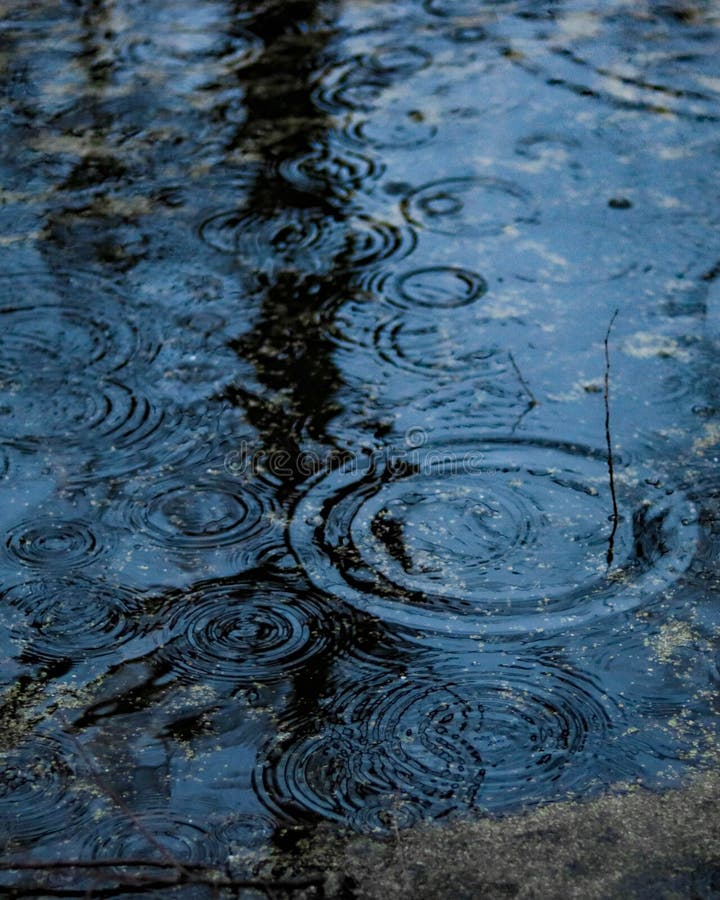 194 Many Rain Puddles Stock Photos - Free & Royalty-Free Stock Photos ...
