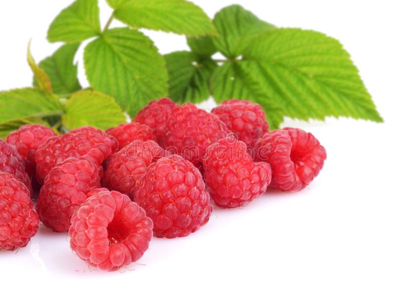 Many Raspberries Leaves Corner Template Isolated White Stock Image ...