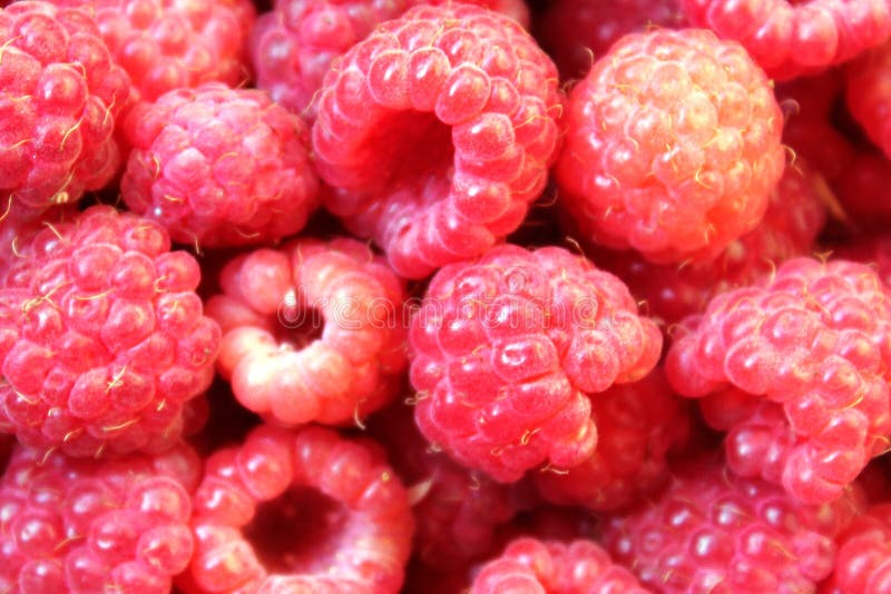 Raspberry Closeup Texture for Background Stock Image - Image of plant ...