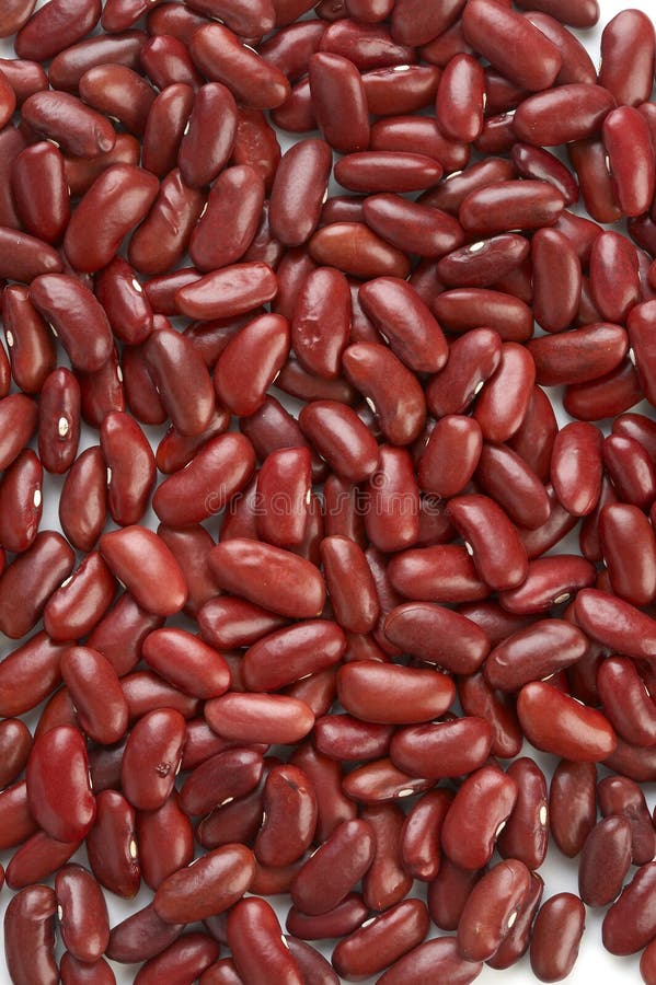 Many red bean stock photo. Image of vegetable, bean, ingredients - 39736104
