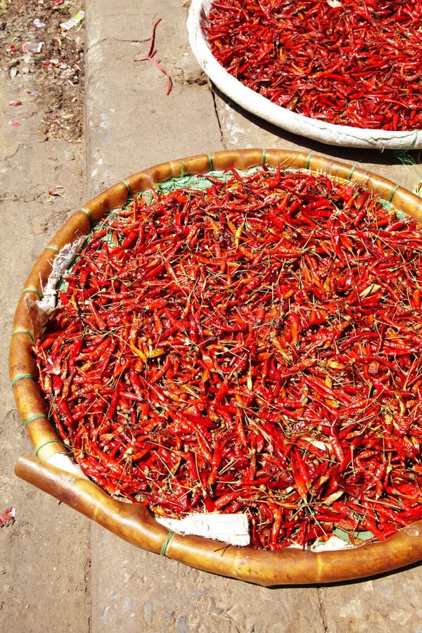 Many red chili in tray stock image. Image of asian, container - 40867991