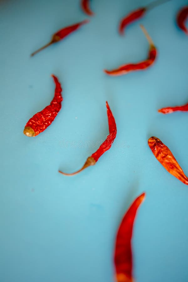 Red Chilli Peppers Pattern on Blue Background. Top View Stock Image ...