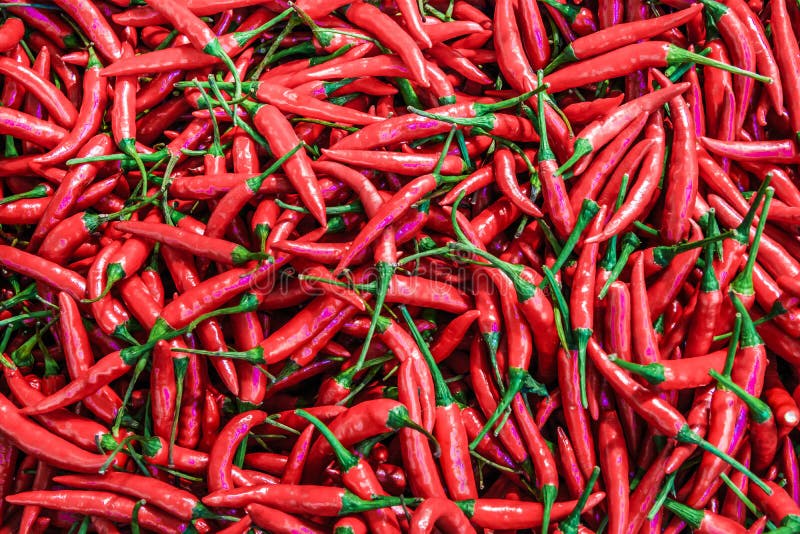 Group Of Red Chillis In A Bag With White Background. Stock Image ...