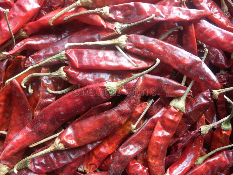 Many Red Color Dried Chili Peppers Stock Image - Image of cook ...