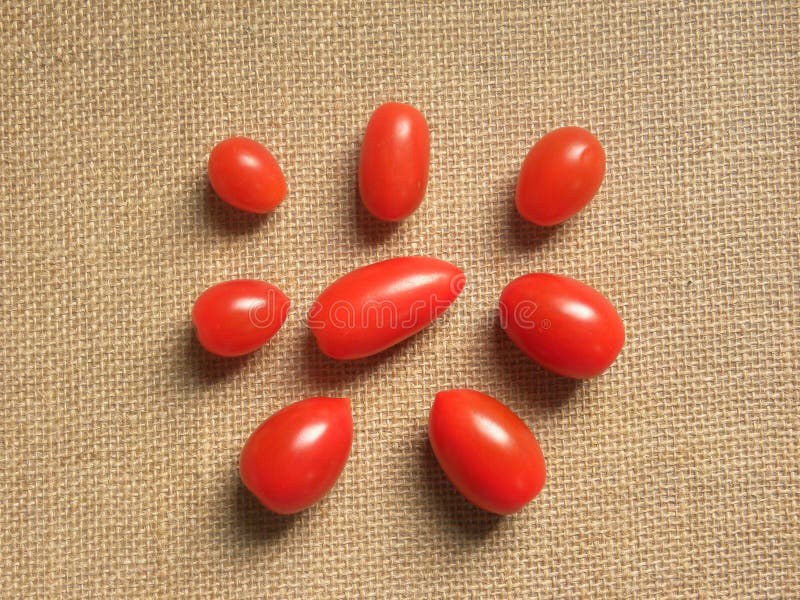 Many red Grape tomatoes stock image. Image of uncooked - 176938347