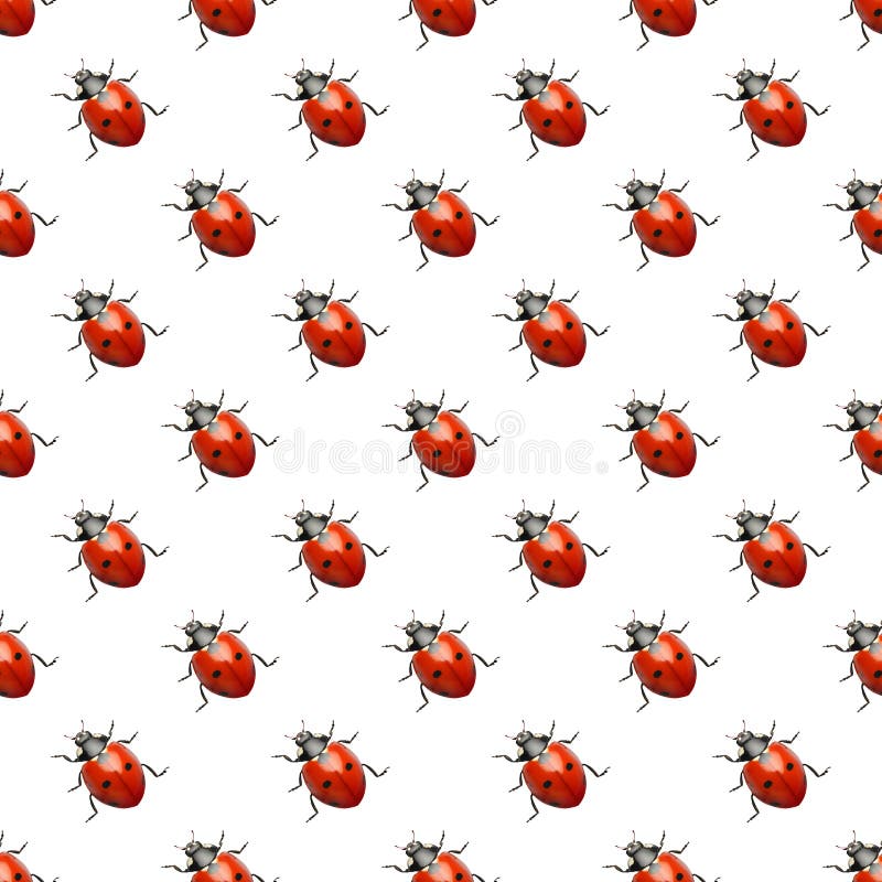 Red Ladybug Top View Stock Illustrations – 160 Red Ladybug Top View ...