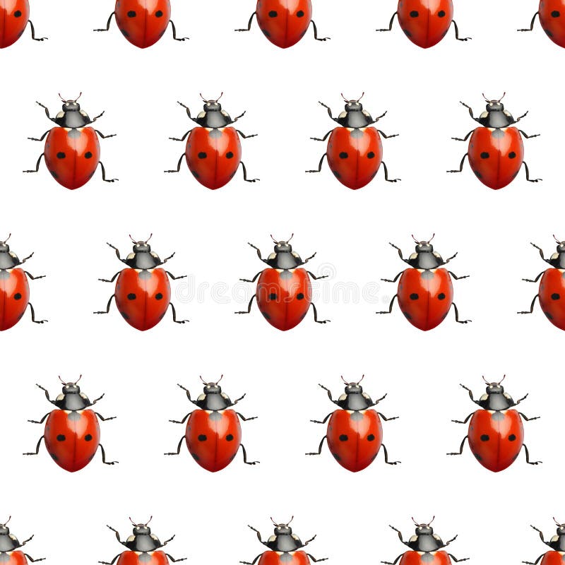Red Ladybug Top View Stock Illustrations – 160 Red Ladybug Top View ...