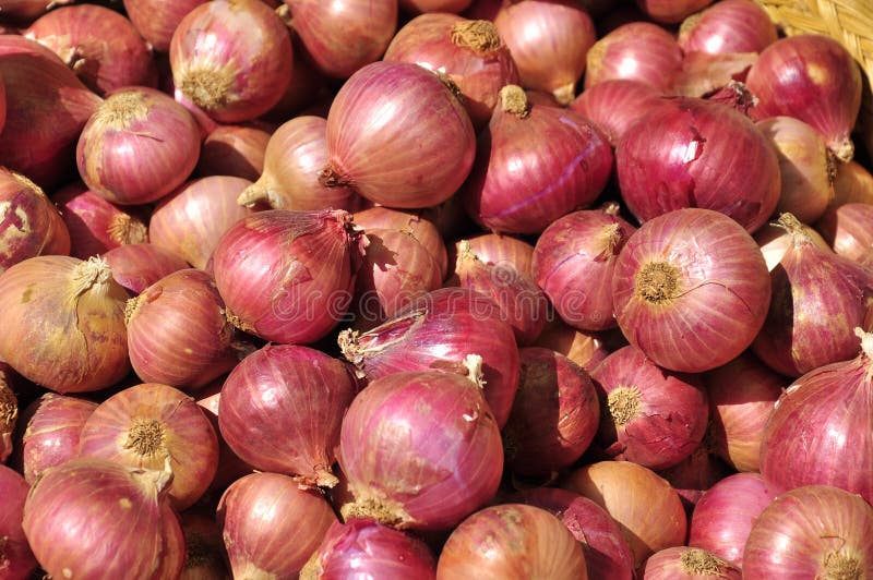 Many red onions stock photo. Image of health, flavour - 35228156