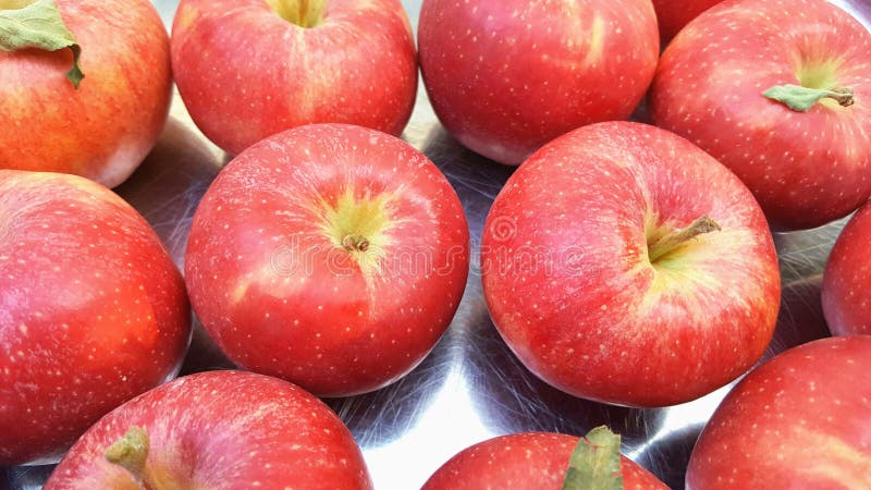 Many Red Ripe Apples in September Stock Image - Image of healthy, fruit ...
