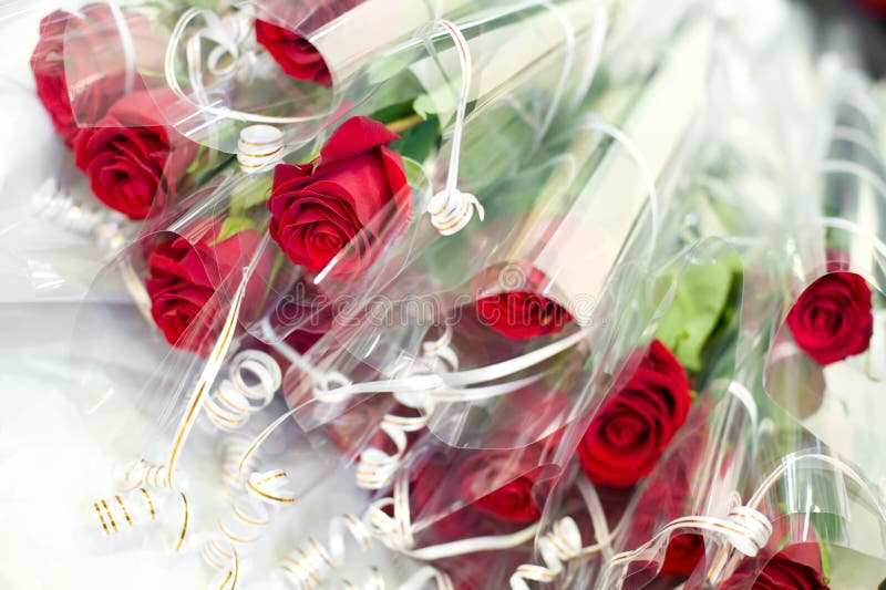 Many red roses stock photo. Image of table, present, white - 18206240