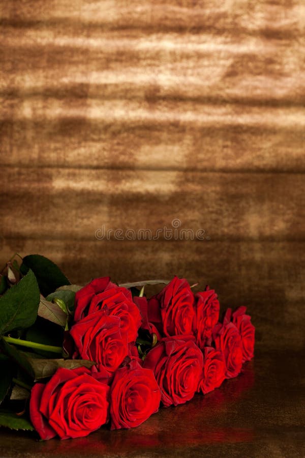 Many red roses stock image. Image of macro, leaf, grunge - 98148007