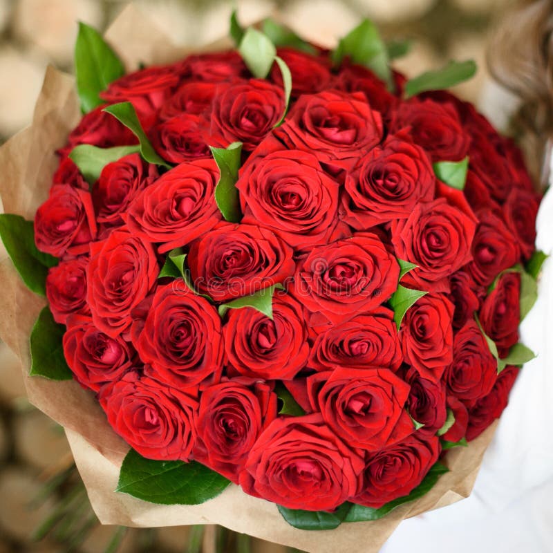 Many Red Roses Shot in Shallow DOF Stock Image - Image of decoration ...