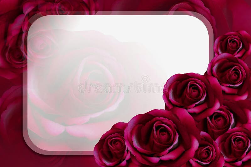 Many Red Roses are Stacked, Bottom Right, on a Rectangular, Rounded ...