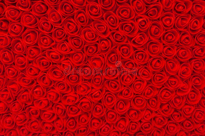 Many Red Small Roses Background. Texture, Pattern, Element for Design ...